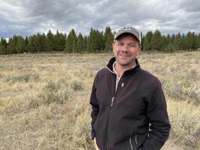 Cold War aerials provide conservation tool for grasslands thanks to ...