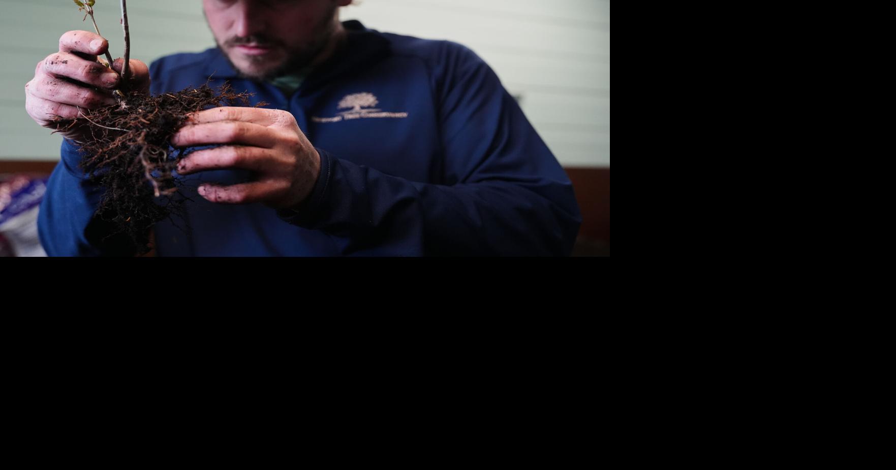 Climate Tree Equity | National News | postregister.com