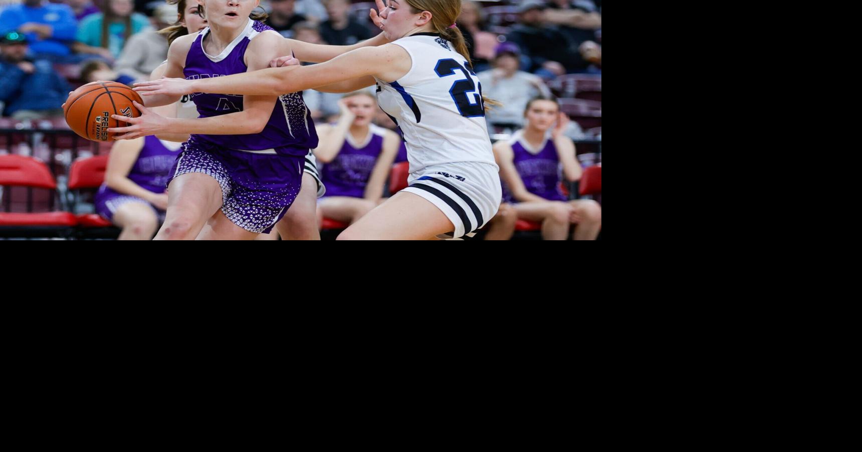 HIGH SCHOOL GIRLS BASKETBALL: All-Area All Stars | PR Preps ...