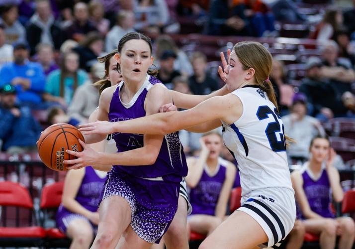 HIGH SCHOOL GIRLS BASKETBALL: All-Area All Stars | PR Preps ...