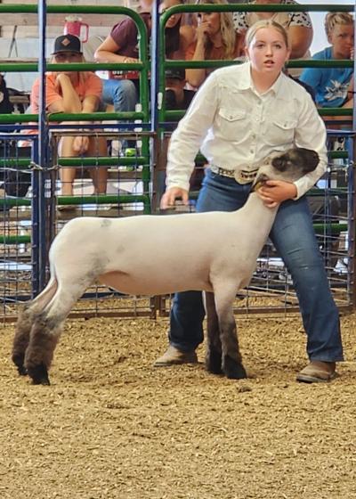 4-H Feature: Tenley Walker | Local Scenes | postregister.com