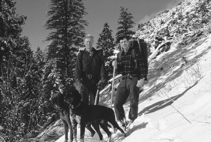The Cougar Whisperer: In a new book, wildlife researcher Maurice ...
