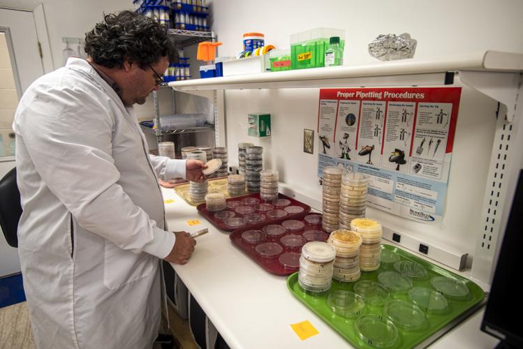 Idaho agriculture looks to Parma for crop research, soil testing ...