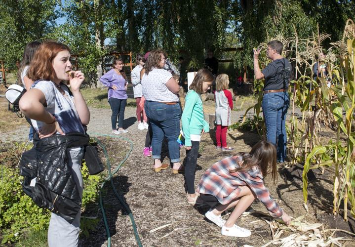 Local food and agriculture celebrated at Bozeman's 2022 Fall Feastival ...