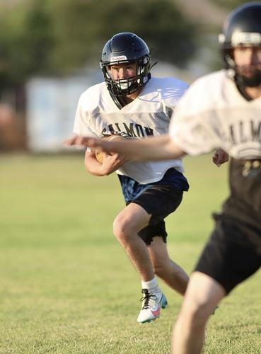 PREP FOOTBALL PREVIEWS: Salmon plans on doing much more than just ...