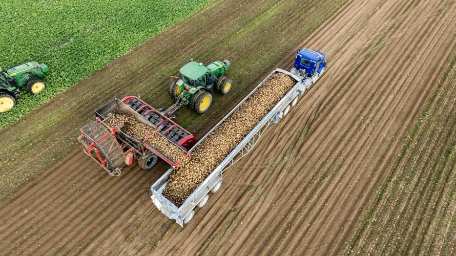 Sugar beets pay the bills in farm country | Farm & Ranch | postregister.com