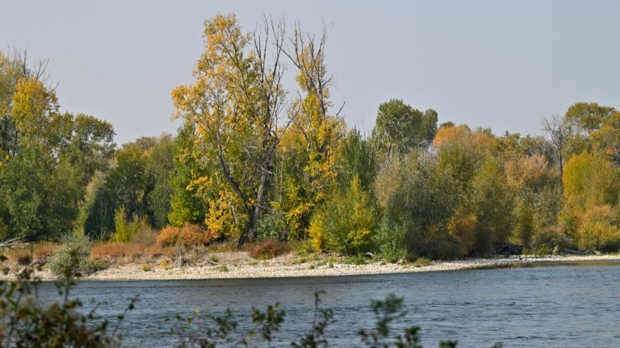 CONNELLY: Bingham County’s Snake River a magical mix of fish ...