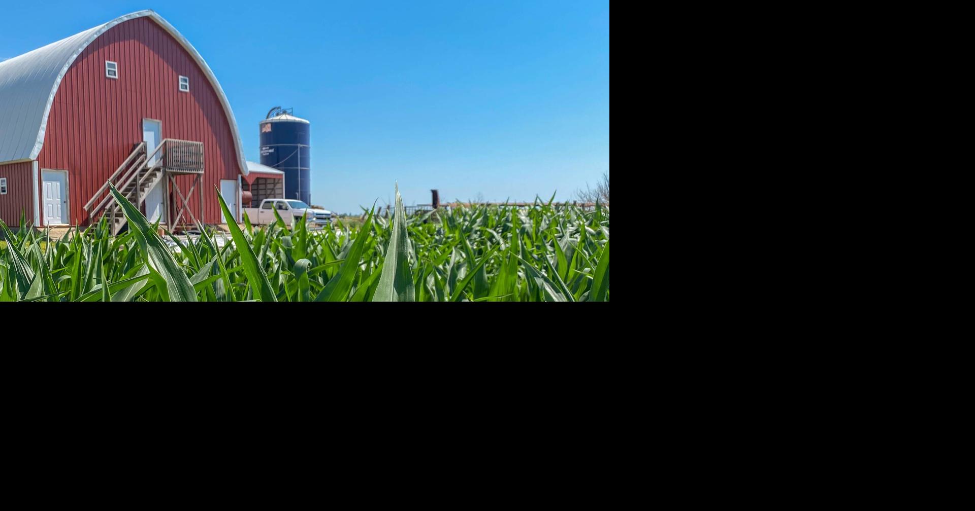 ECAP payments helping struggling farmers a little bit | Farm & Ranch ...