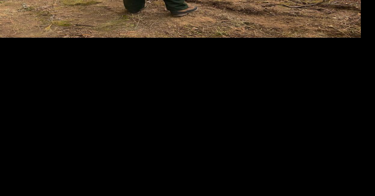 Hayden fire near Leadore approaches 10,000 acres | Local News ...