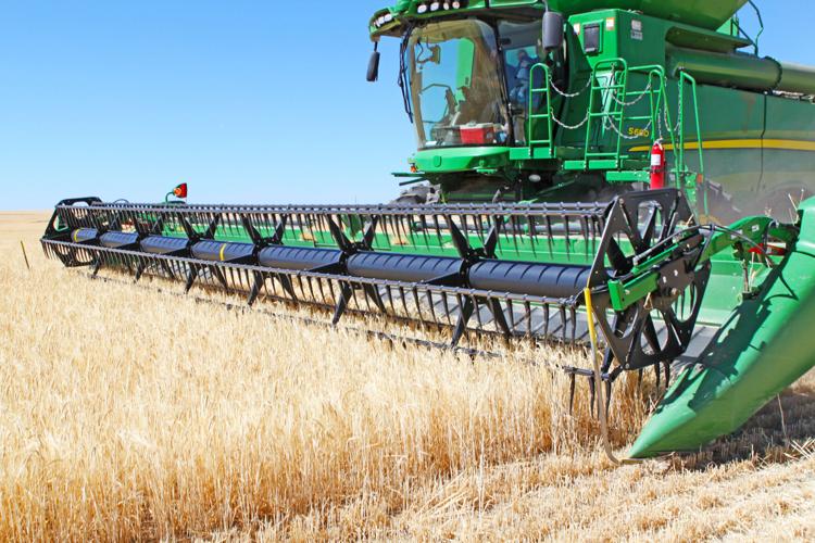 The top barley state is, again, Idaho | Crops | postregister.com