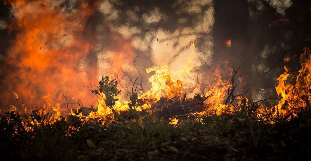 Fort Hall firefighters extinguish brush blaze caused by tire blowout on ...