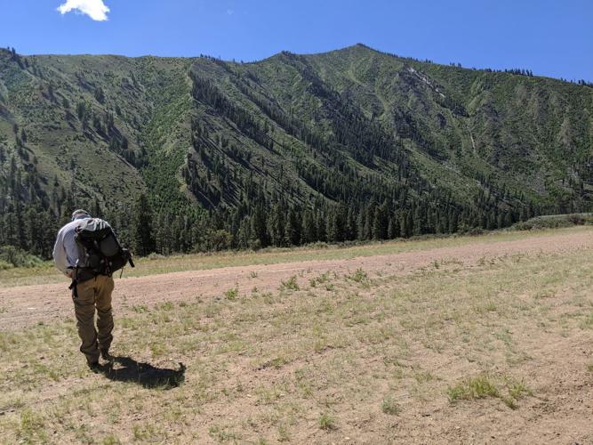 Backcountry seismic activity sends scientists out in the wild near ...