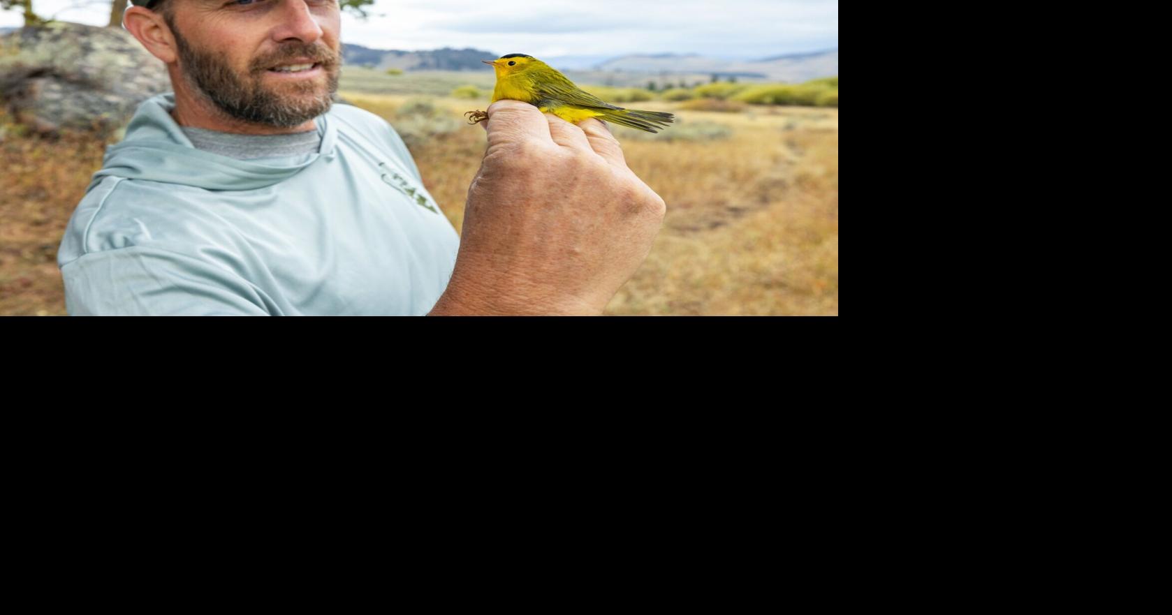 Yellowstone biologist takes birds under his wing | Outdoors ...