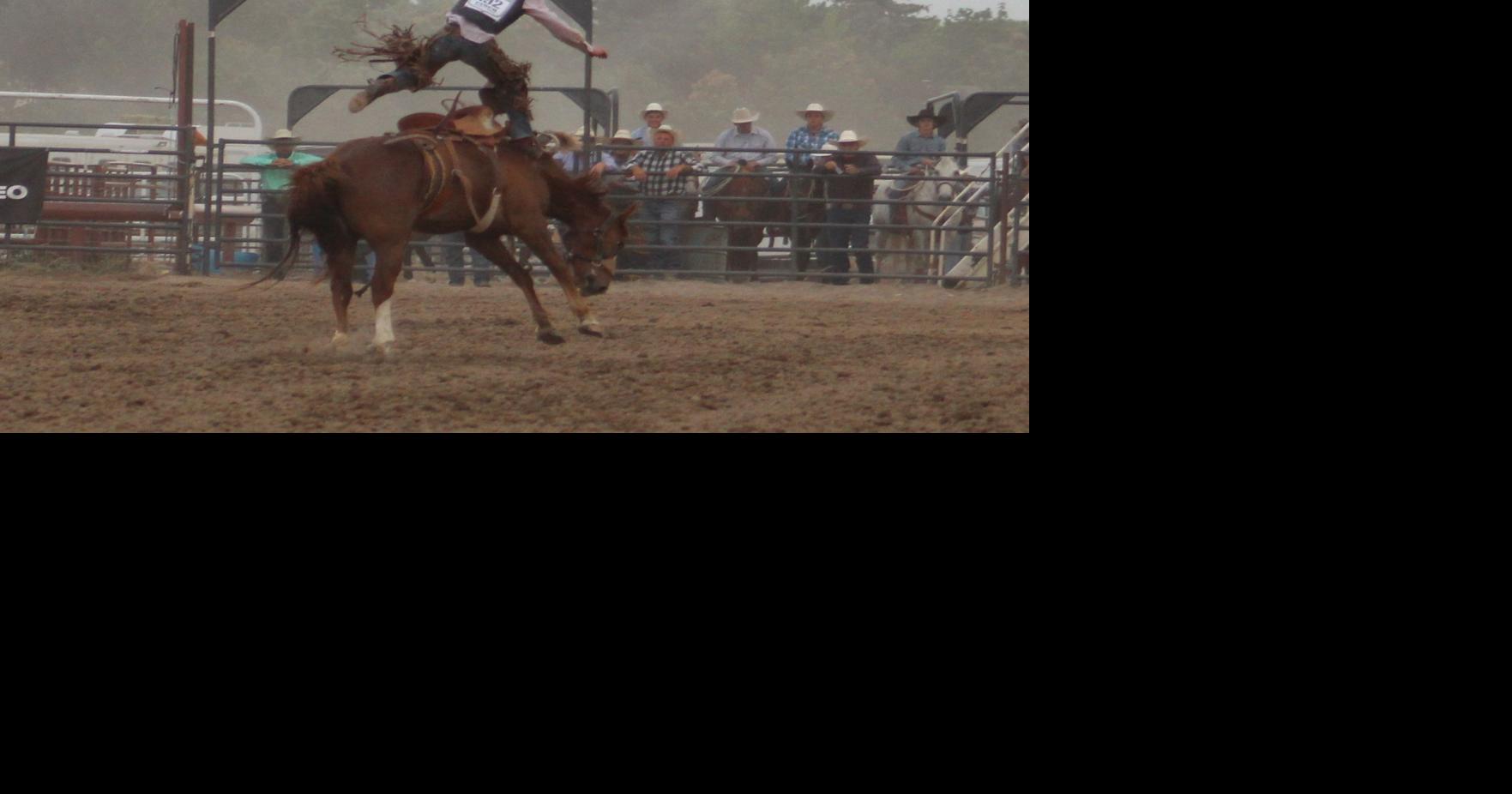 Cooper Cooke sitting pretty on saddle broncs | Sports | postregister.com