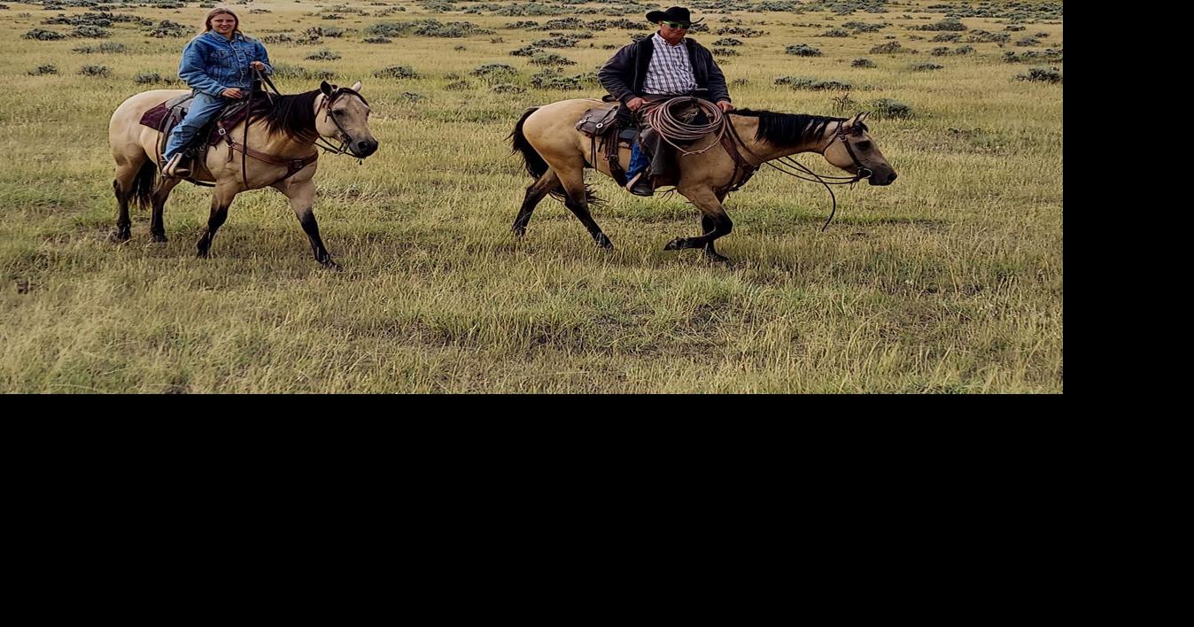 Barnyard Basics: Teaching ranchers about instinctive migratory grazing ...