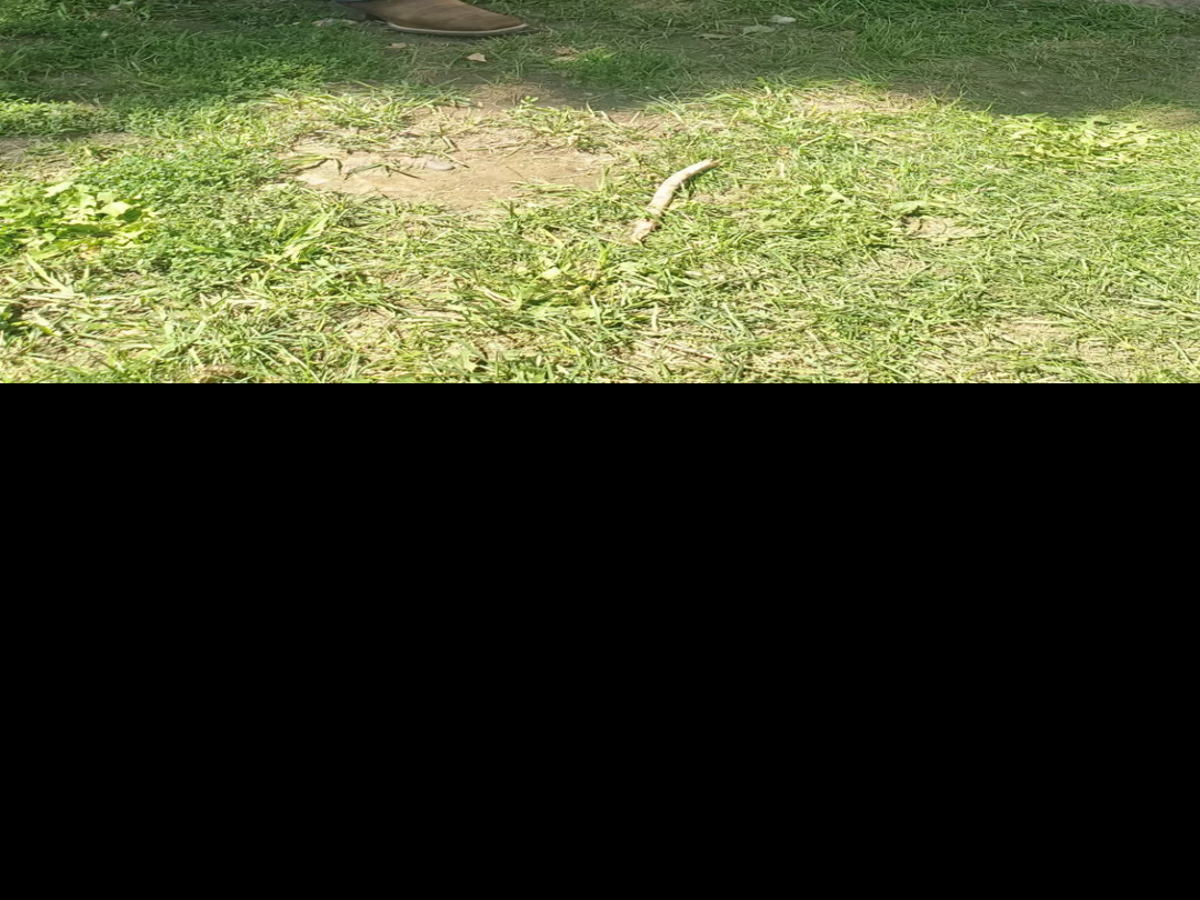 aaron christopherson