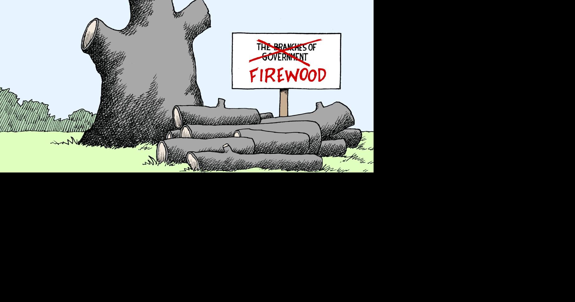 CUTTING THE BRANCHES | Cartoons | postregister.com