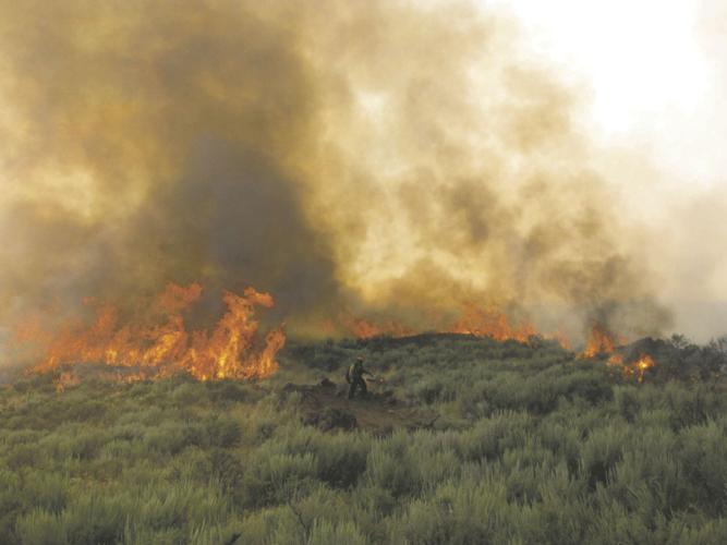 Rangeland Fire Protection Associations muster locals | Local ...