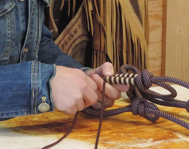 Making custom halters launches Hollyn Patterson on a wild ride | Eastern Idaho | postregister.com