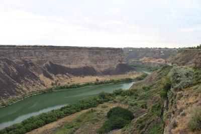 Snake River quagga mussel monitoring is an ongoing effort, state ...