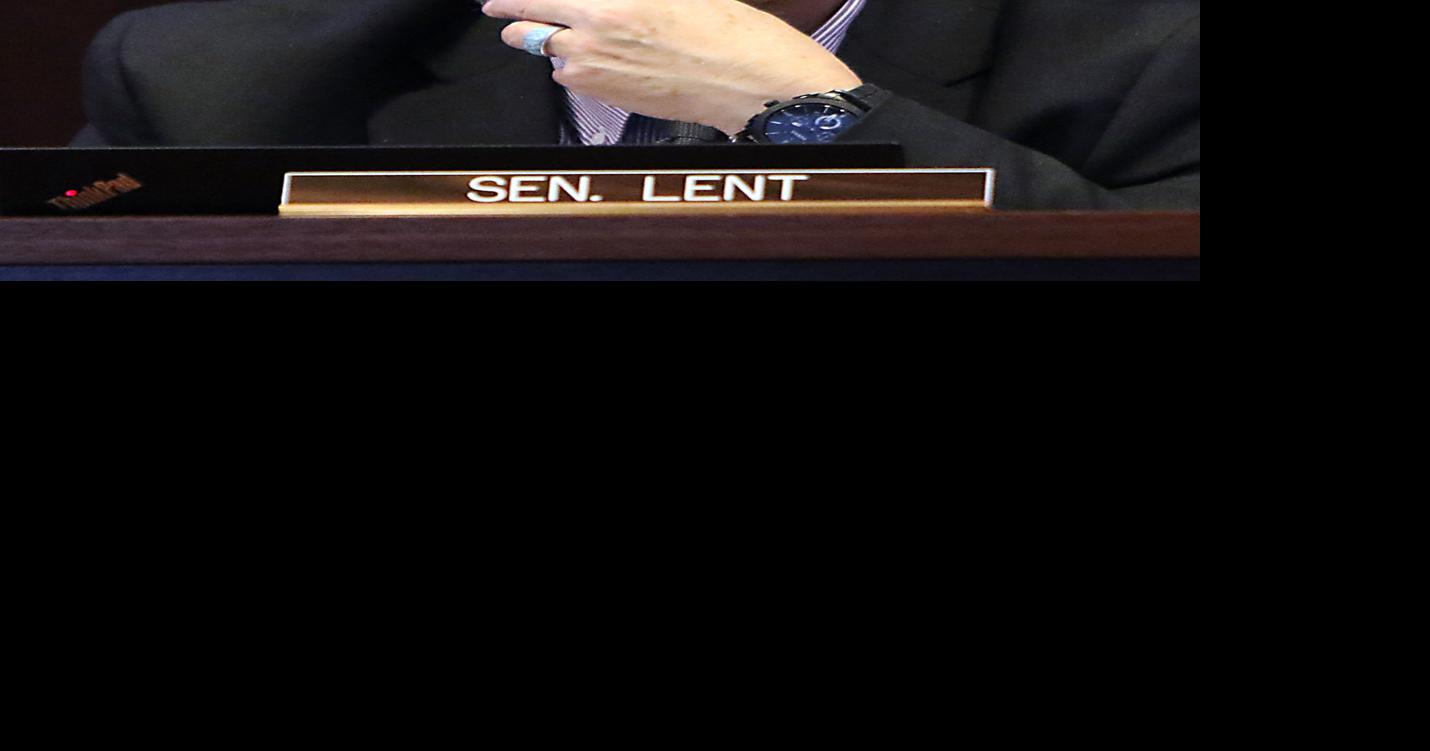 Sen. Lent takes on new role as Senate Education Committee vice chairman ...