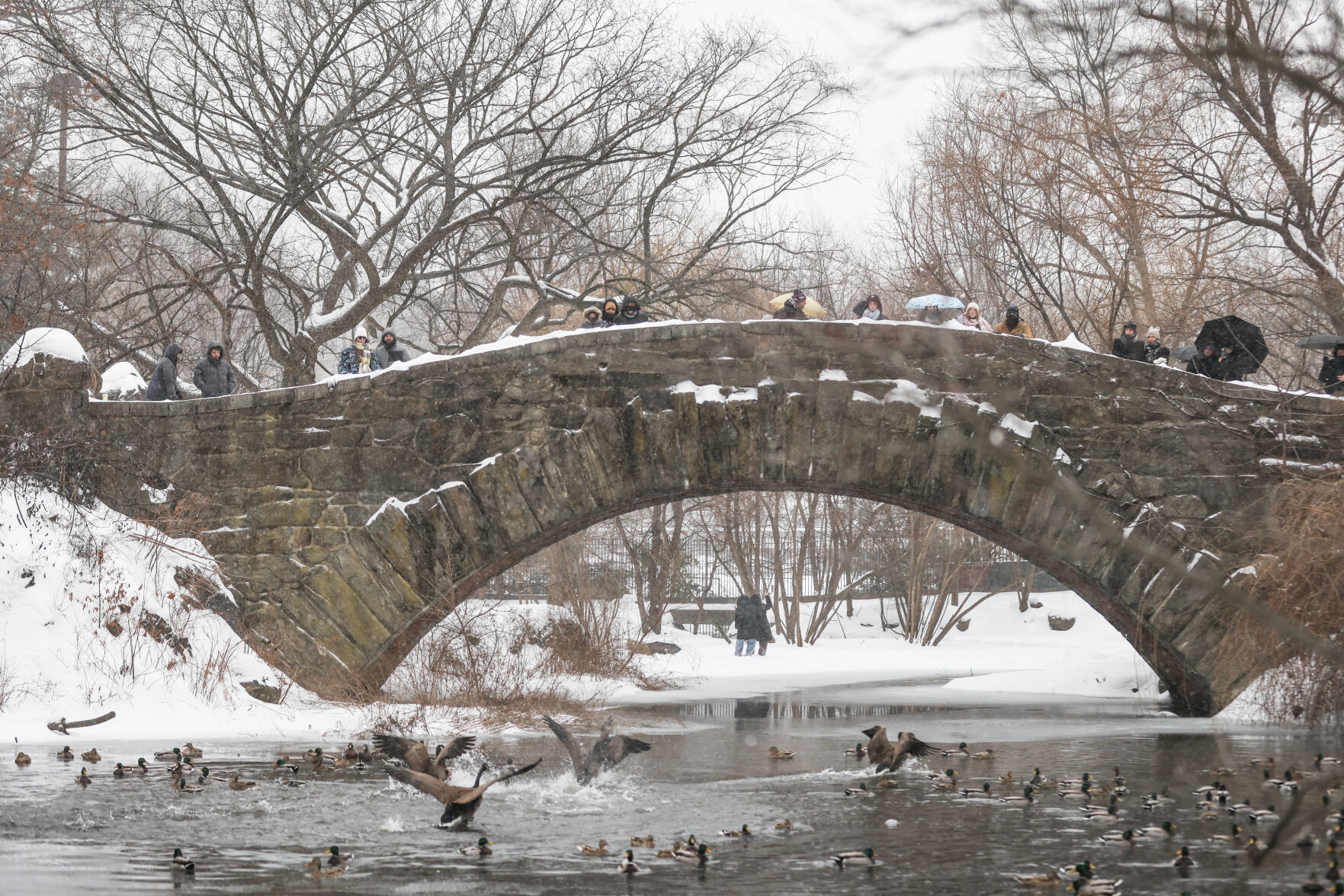 Winter Weather New York | National News | postregister.com