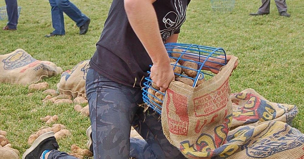 Annual Idaho Spud Days set to kick off in Shelley | | postregister.com