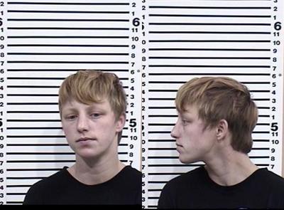 Idaho Falls woman charged after reportedly biting, choking and hitting ...