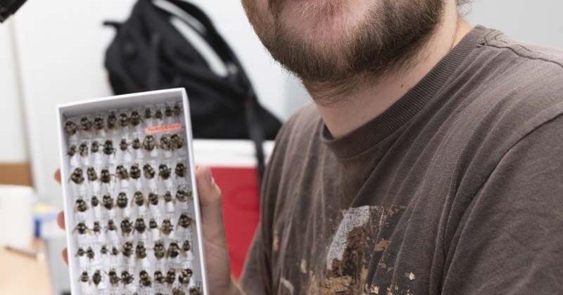 A berry regional and finicky fruit | Farm & Ranch | postregister.com