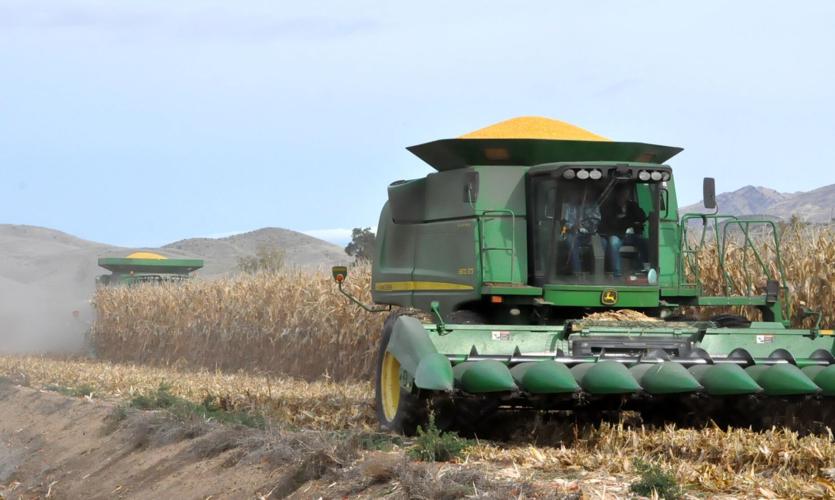 Community Harvest: Ailing farmer gets boost from rural tradition that ...