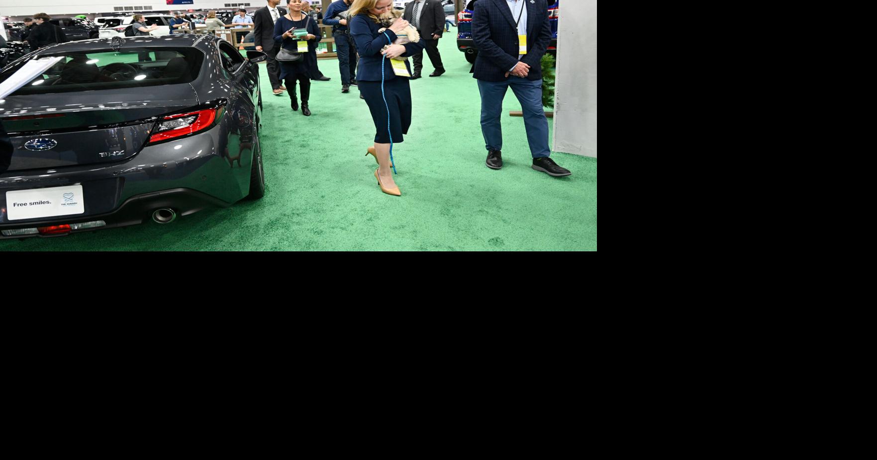 Detroit Auto Show | National News | postregister.com