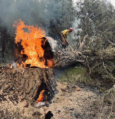 Number of firefighters assigned to Hayden fire sharply decreases ...