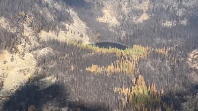 Moose fire lets up, is at 75% containment Tuesday | Local News ...