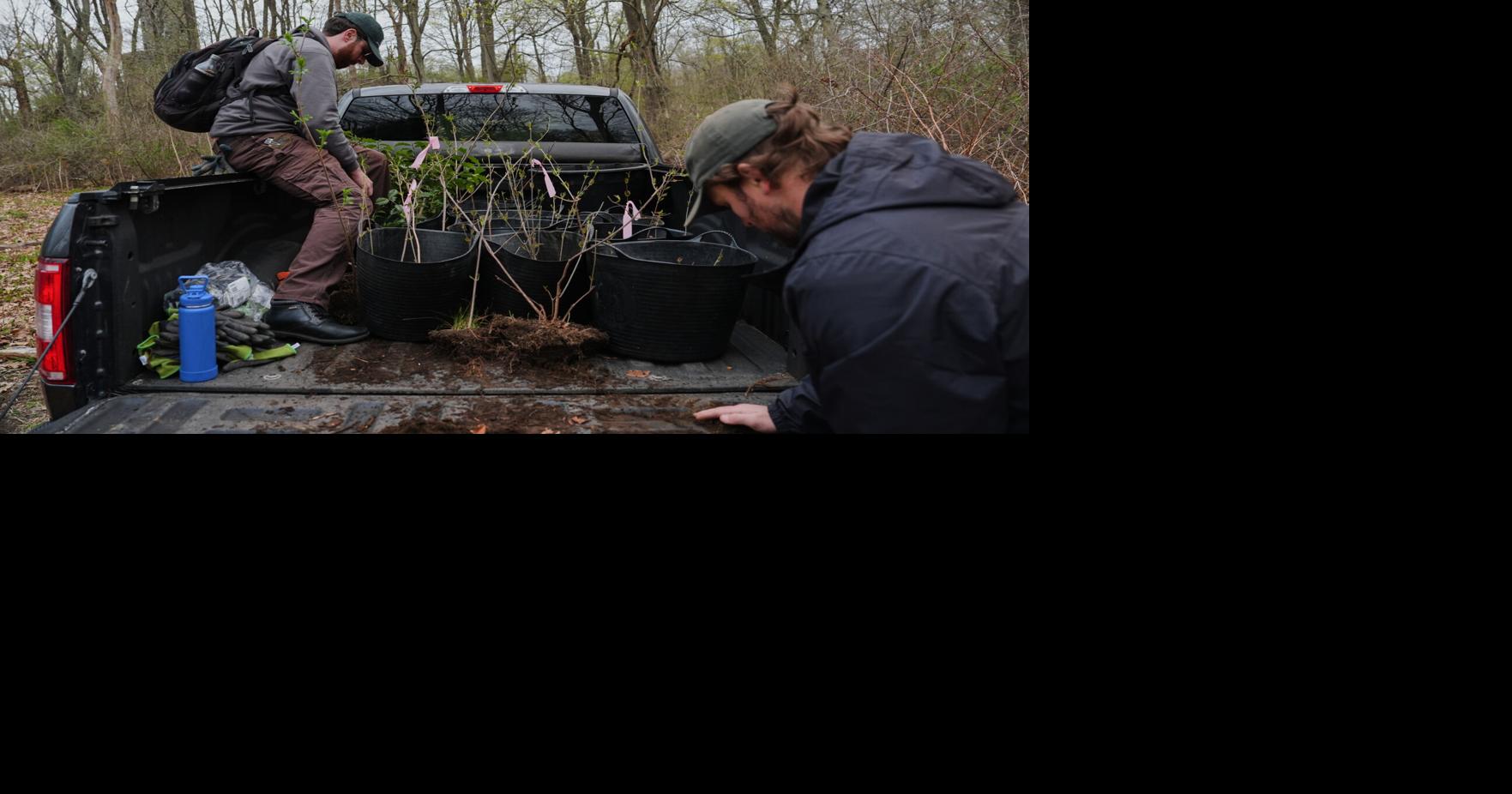 Climate Tree Equity | National News | postregister.com