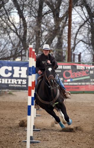 Speedy Appy-cross gelding named Rock is like rock star on the rodeo ...