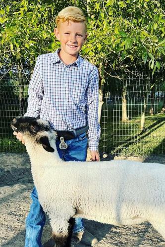4-H Feature: Cooper Krumblis | News | postregister.com