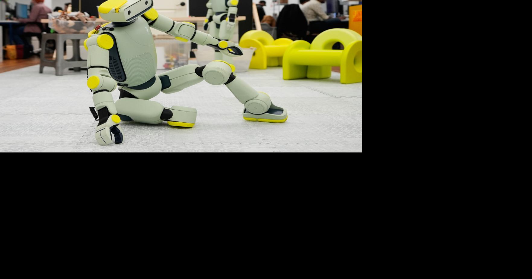 Friendly Humanoid | National News | postregister.com