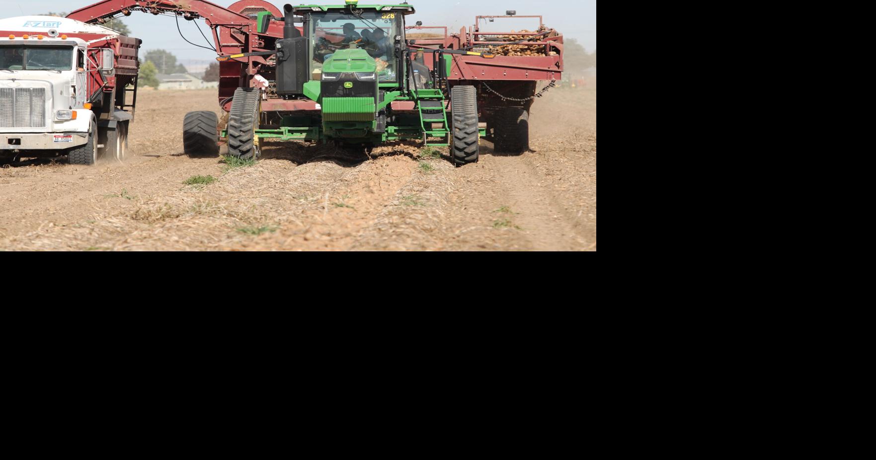 ‘Spud Nation’ report looks at potential economic impact of additional U ...