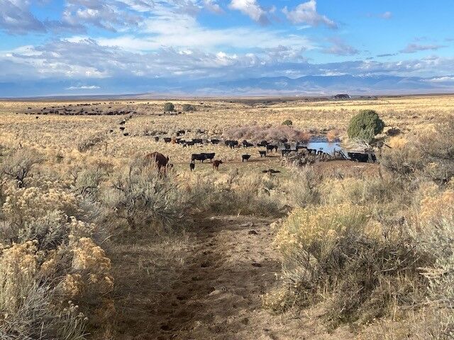 Madison County: wheat, barley, potatoes and hay | Farm & Ranch ...