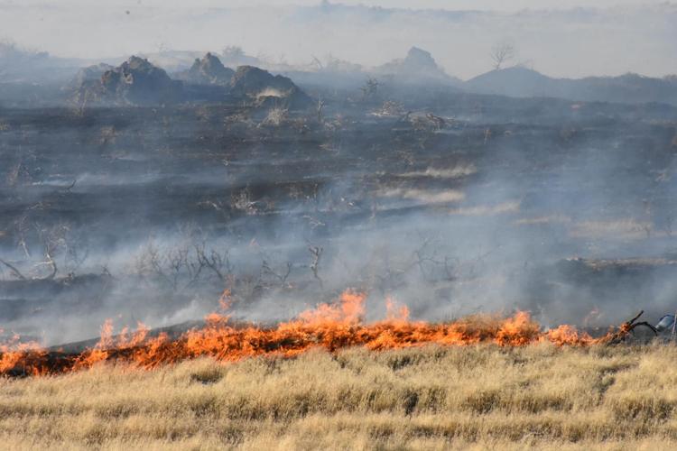 90-acre wildfire burns west of Idaho Falls | Local News | postregister.com