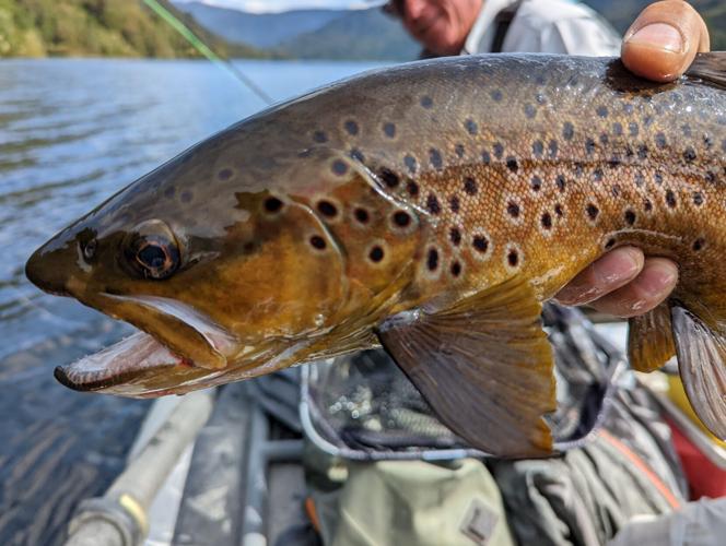 Planning fly fishing trip destinations | Outdoors | postregister.com
