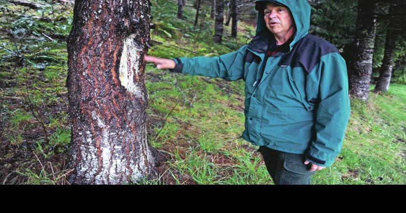 Wash. state acknowledges need to cut elk damage | | postregister.com