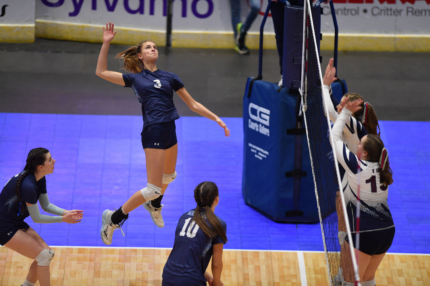 Lake George falls in Class D state volleyball championship