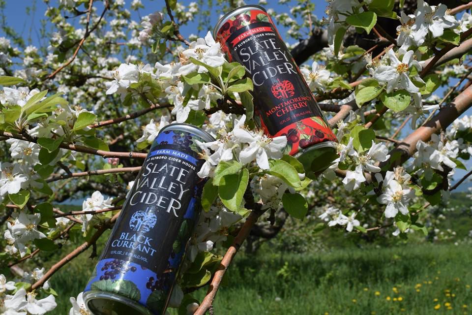 Hicks Orchard to host cider festival, unveil new canned ciders