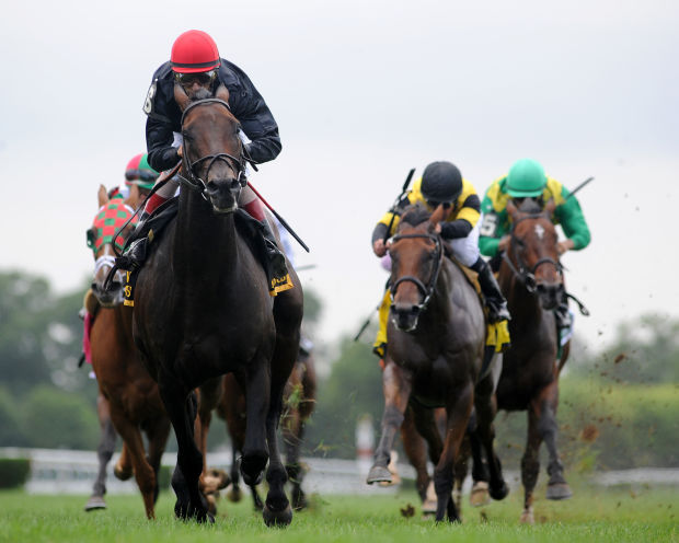 Sword Dancer favorite Boisterous is no mystery