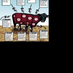 Getting to know your meat