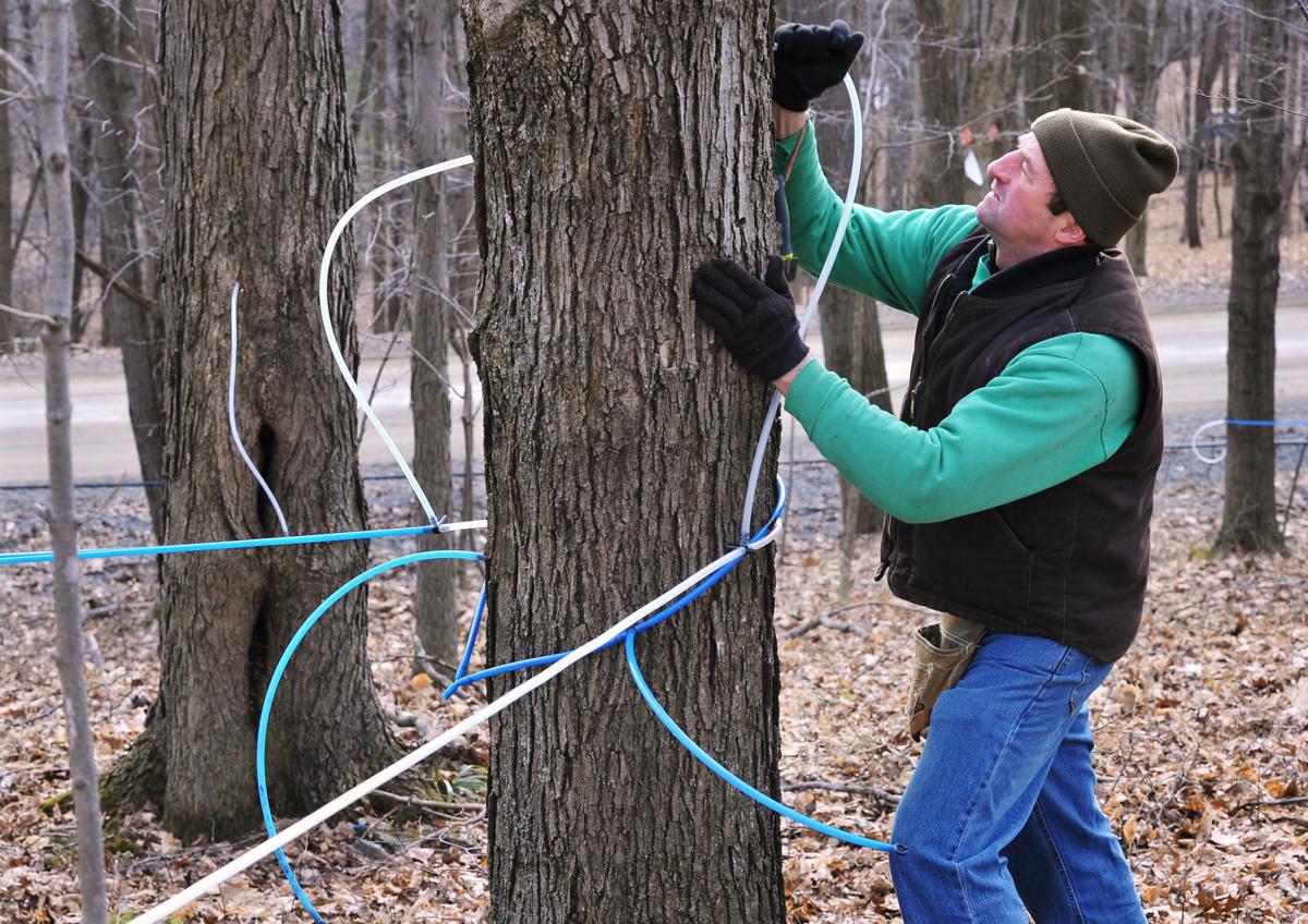 Mapleland Farms receives state certification