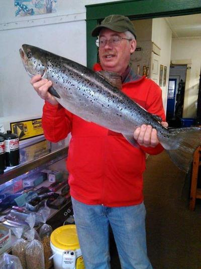 Massive Lake George salmon