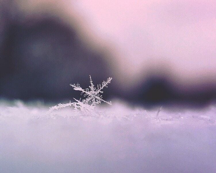 ‘Snowflake-ology’ at Moreau Lake State Park