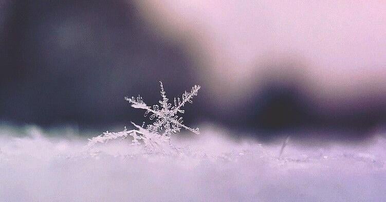 A snowflake in snow
